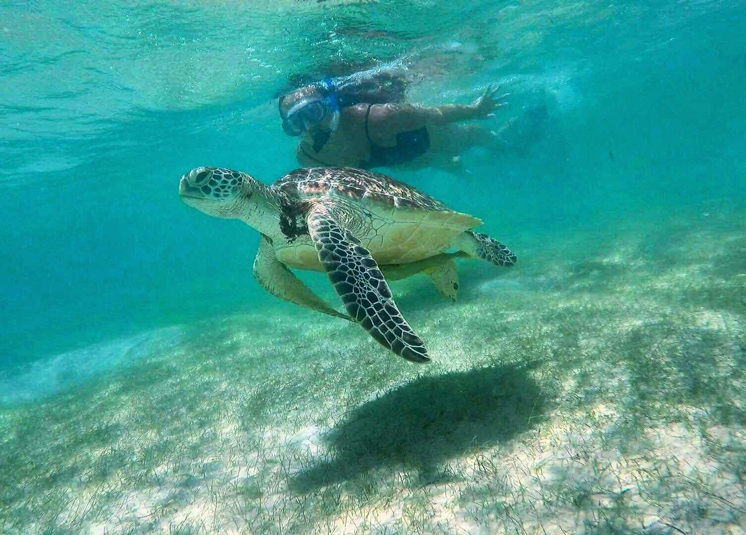 A Year in Industry: Part 1 – The tiny conservationist